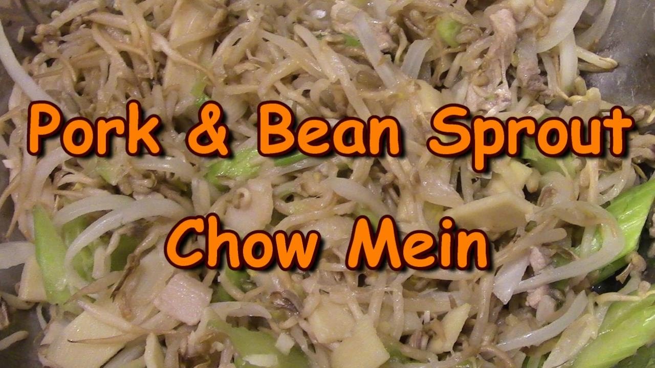 Pork & Bean Sprout Chow Mein