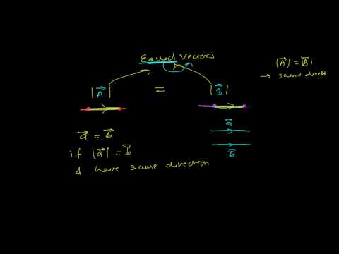 Equal Vectors - Vector & Scalars Lesson
