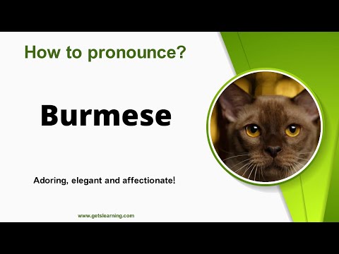 How to pronounce Burmese Correctly in English