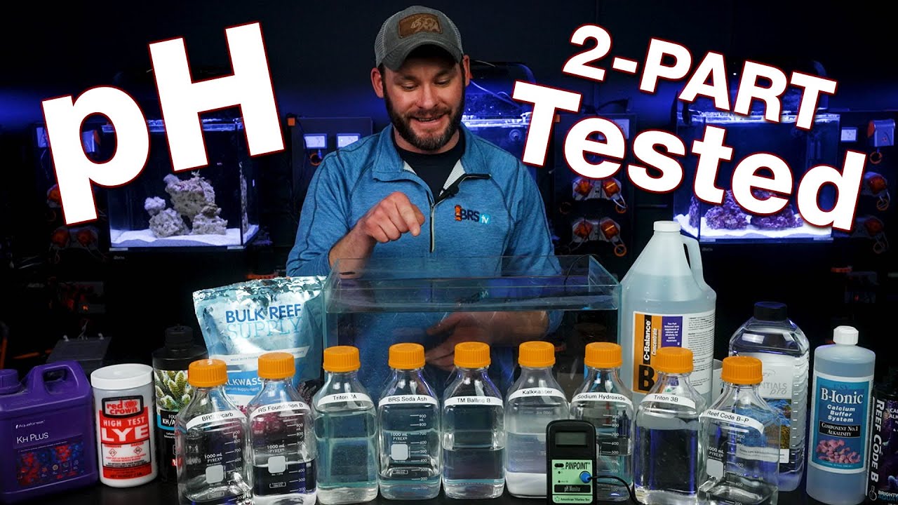 Which Boosts pH the MOST? Top 14 Alkalinity Additives Tested.