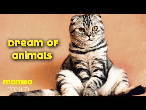 What doesanimals .dream meaning , dream interpretation , dreaminh of animals .