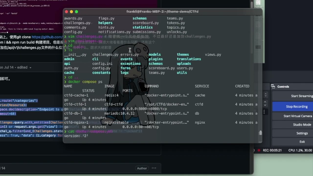 How to install ctfd-page-themes