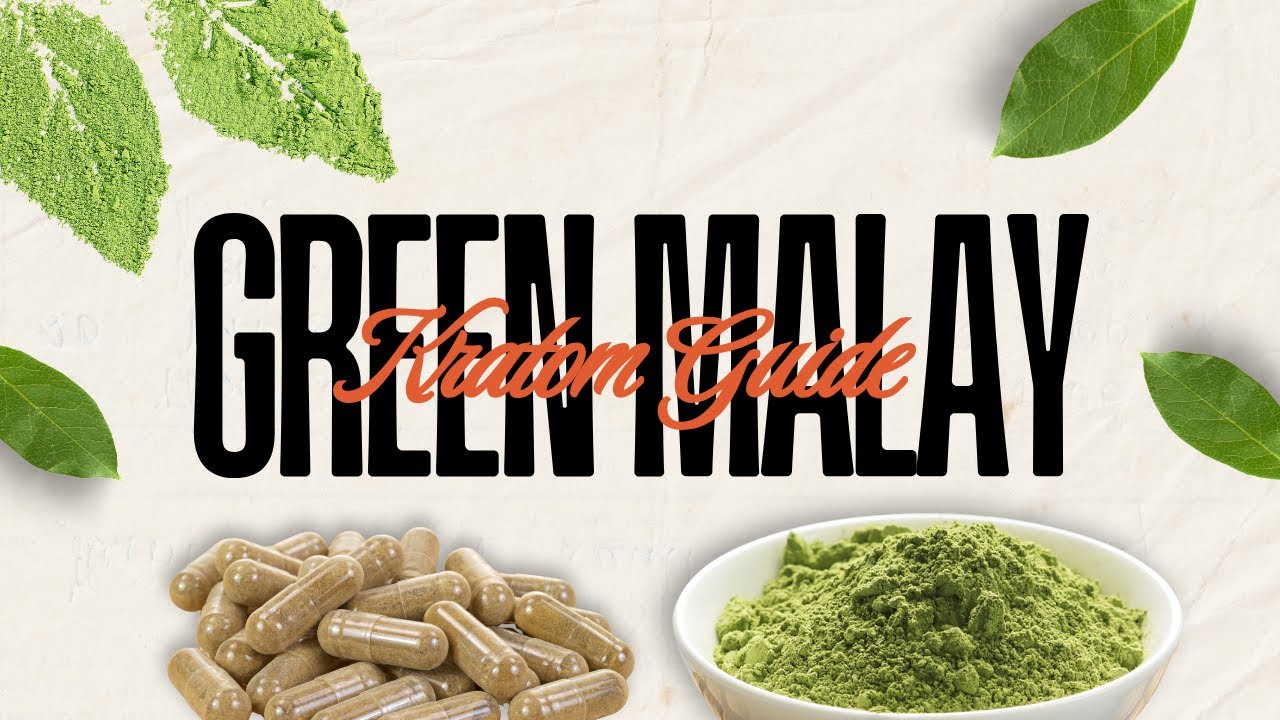 Green Malay Kratom Guide: Effects, Benefits & Uses | Best Green Malay Kratom in US