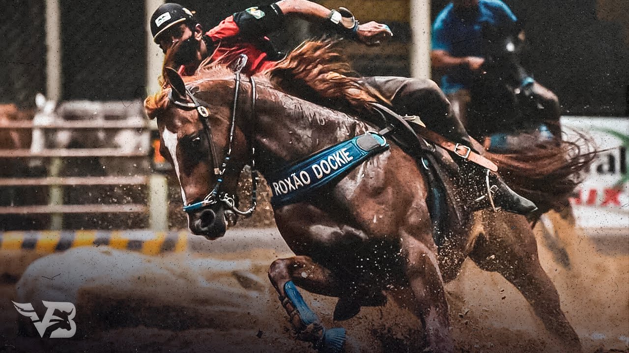 Lyrics & Translations of Sou Vaqueiro Nordestino by Zé Vaqueiro | Popnable