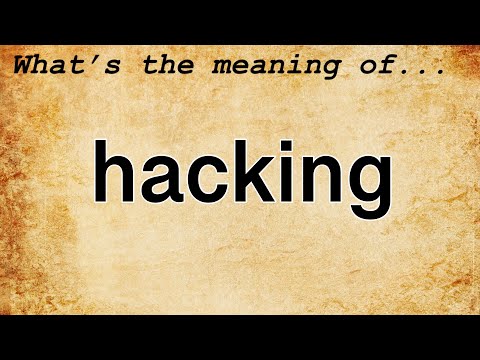 Hacking Meaning : Definition of Hacking