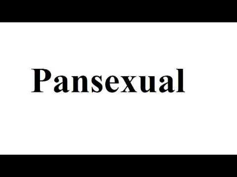 What does Pansexual (sexuality) mean