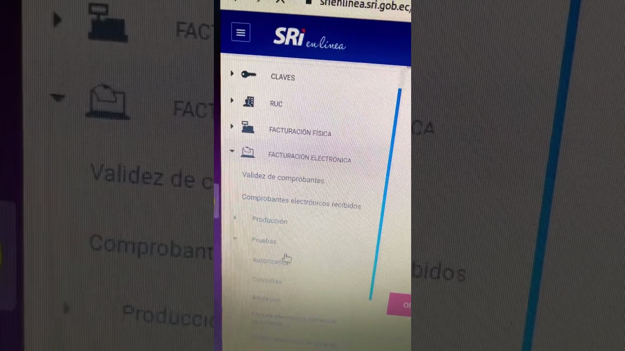 SRI Electronic Billing Authorization - Testing and Production Mode