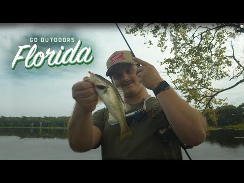 FLORIDA FISHING - GoOutdoorsFlorida.com
