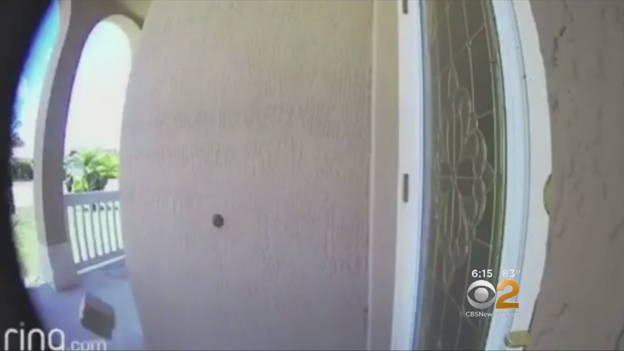 Caught On Camera: UPS Driver Chucks Package At Front Door