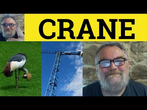 😎 Crane Meaning - Crane Examples - Crane Definition - Crane Your Neck - Crane