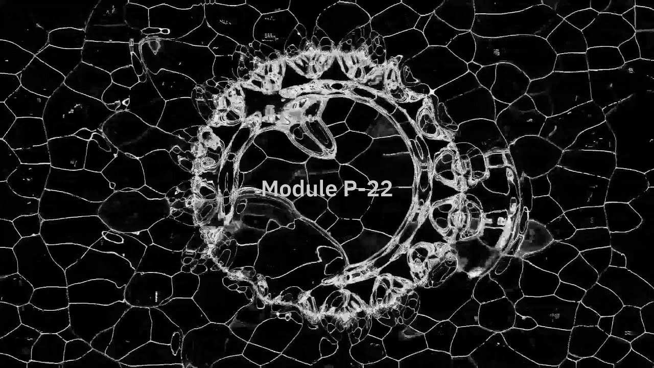 Module P-22