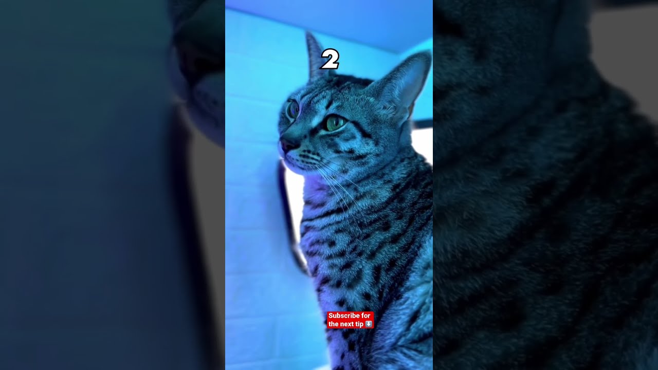 Custom Mouse Cursor (so clean 🤤) #shorts