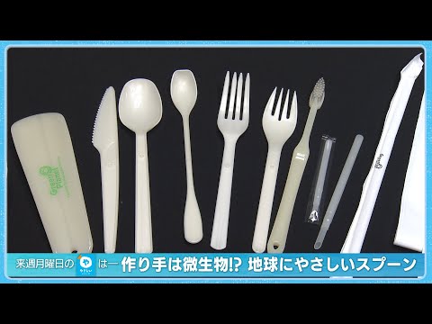 作り手は微生物!? 地球にやさしいスプーン <2/20のやさしいニュース>