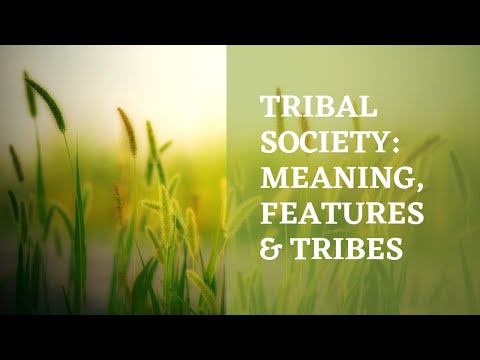 Tribal Society - meaning, features & tribes || BA Sociology Semester 5