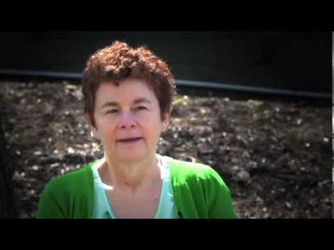 Daily Long-Term Use Of Low-Dose Aspirin Reduces The Risk Of Death From ...