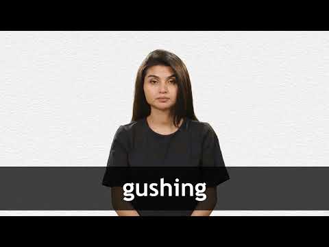 GUSHING definition in American English | Collins English Dictionary