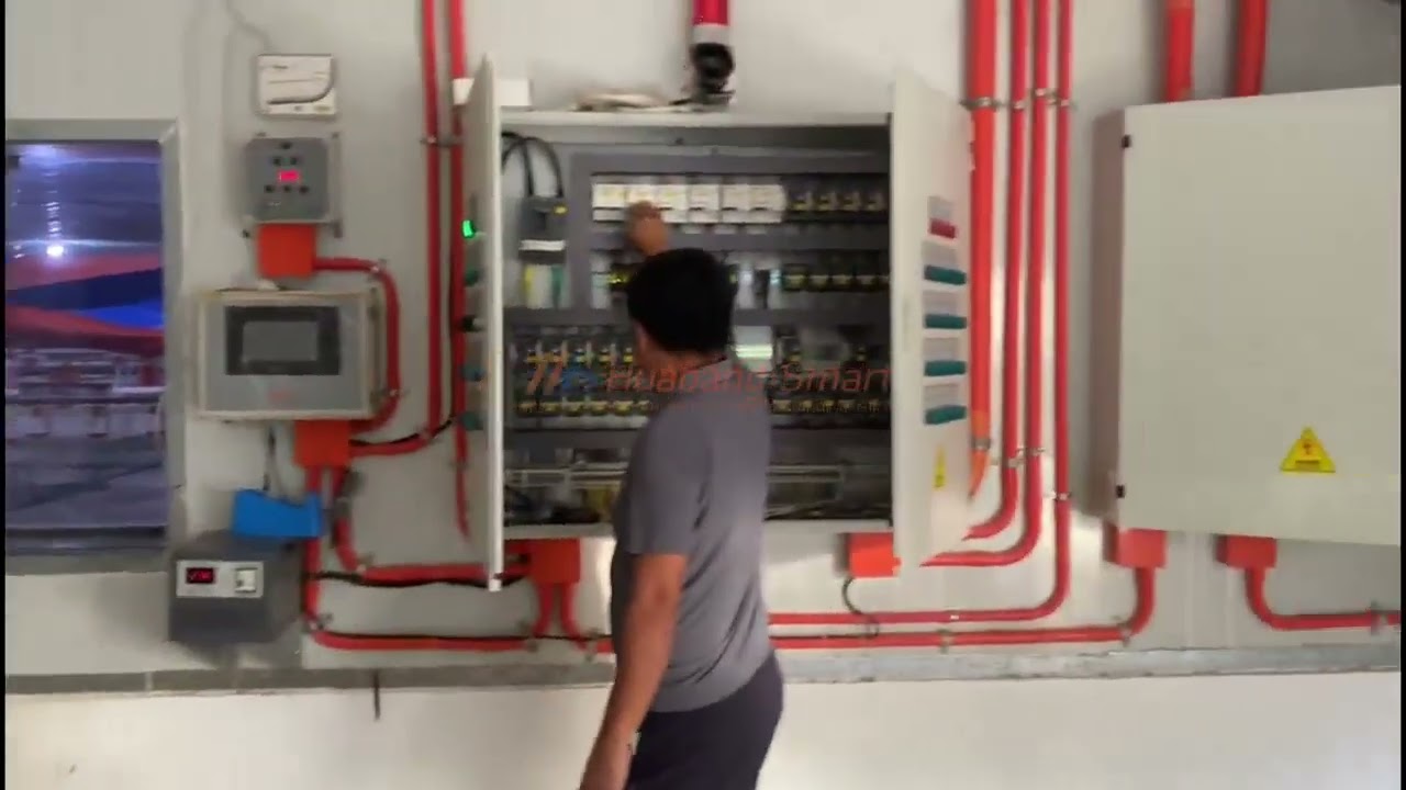 Can Automation Change Poultry Farming? See This Completed Chicken House Project! 🚜🐓