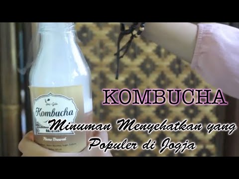 Video: Kombucha, Minuman Jamur Teh yang Menyehatkan | kumparan.com