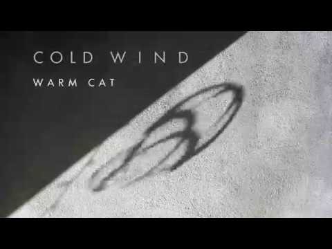 Cat on a cold gravel roof – Mad Blog Media