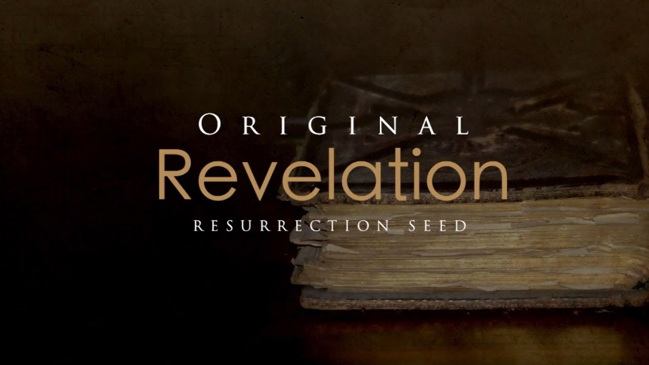 Resurrection Seed - City Harvest Network