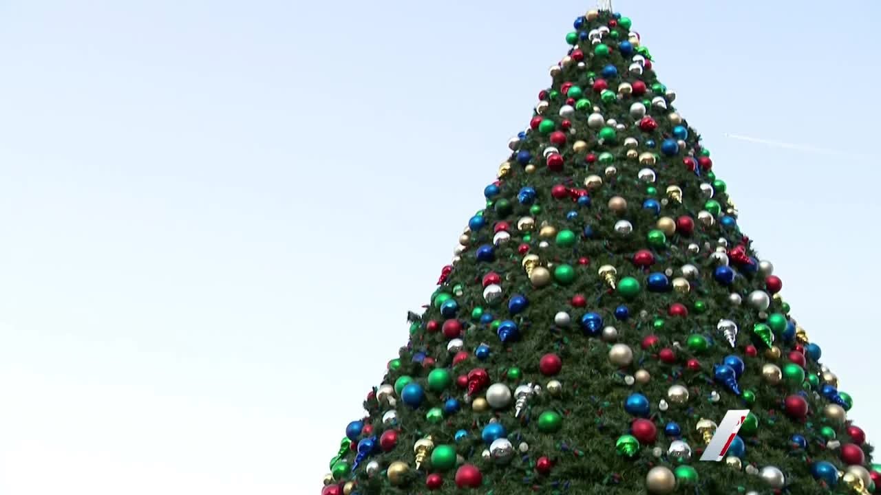 Hundreds gather for Eustis’ 38th annual tree lighting