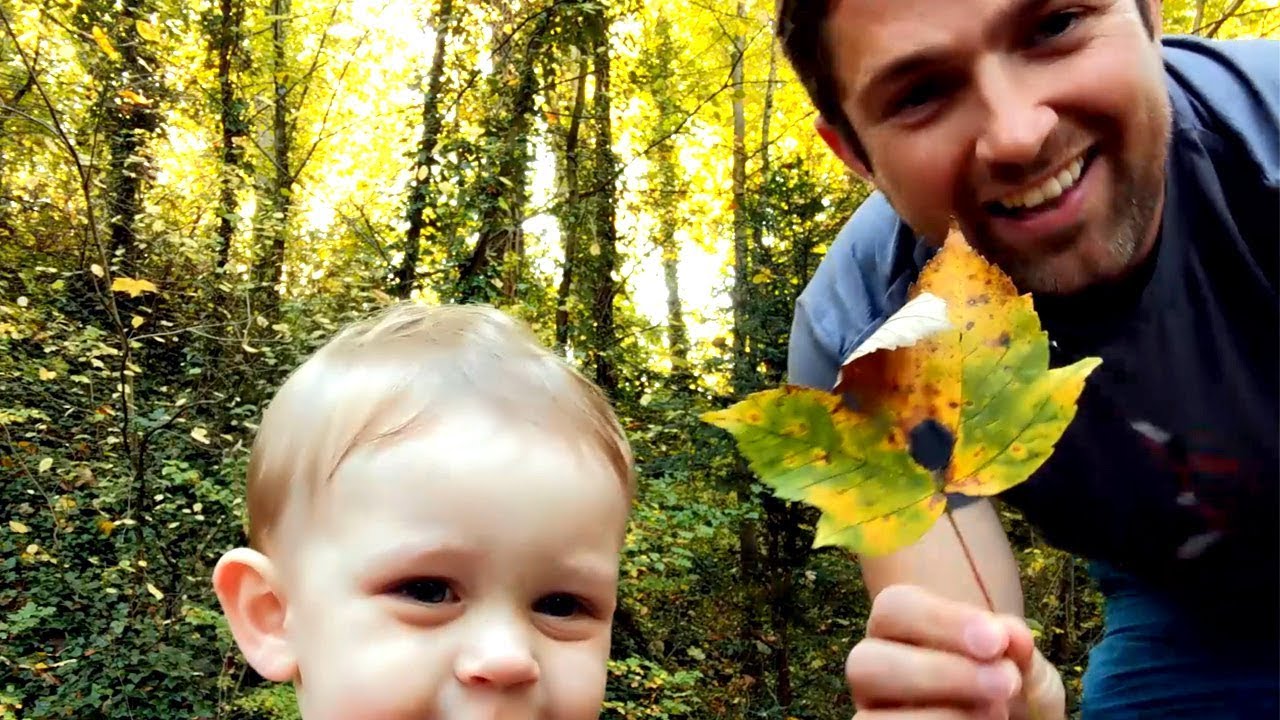 How to get GOOD LUCK in the Autumn. Catch a Falling Leaf. It's a good game to play with kids.