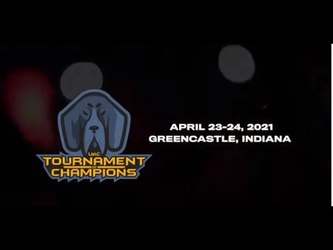 $200,000 TOTAL PURSE! Coonhounds Get Ready for UKC Tournament of Champions!