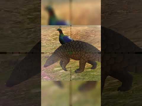 Hunting pangolin - Way Of The Hunter - Hunting Clash #animals #hunting #gaming