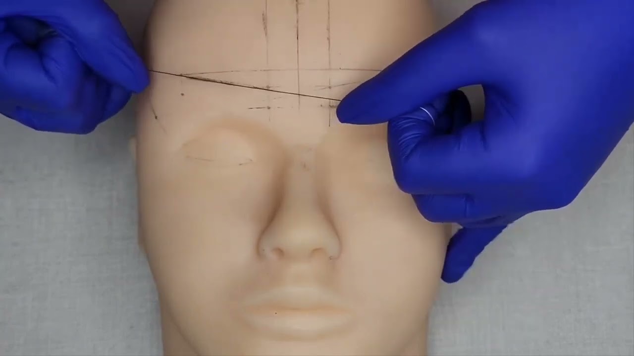 Aula 33 - Como Treinar Marcação no Boneco | Curso Design de Sobrancelhas