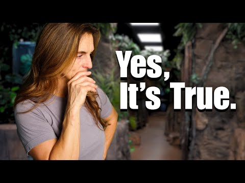 Answering Your Questions From The Comments
