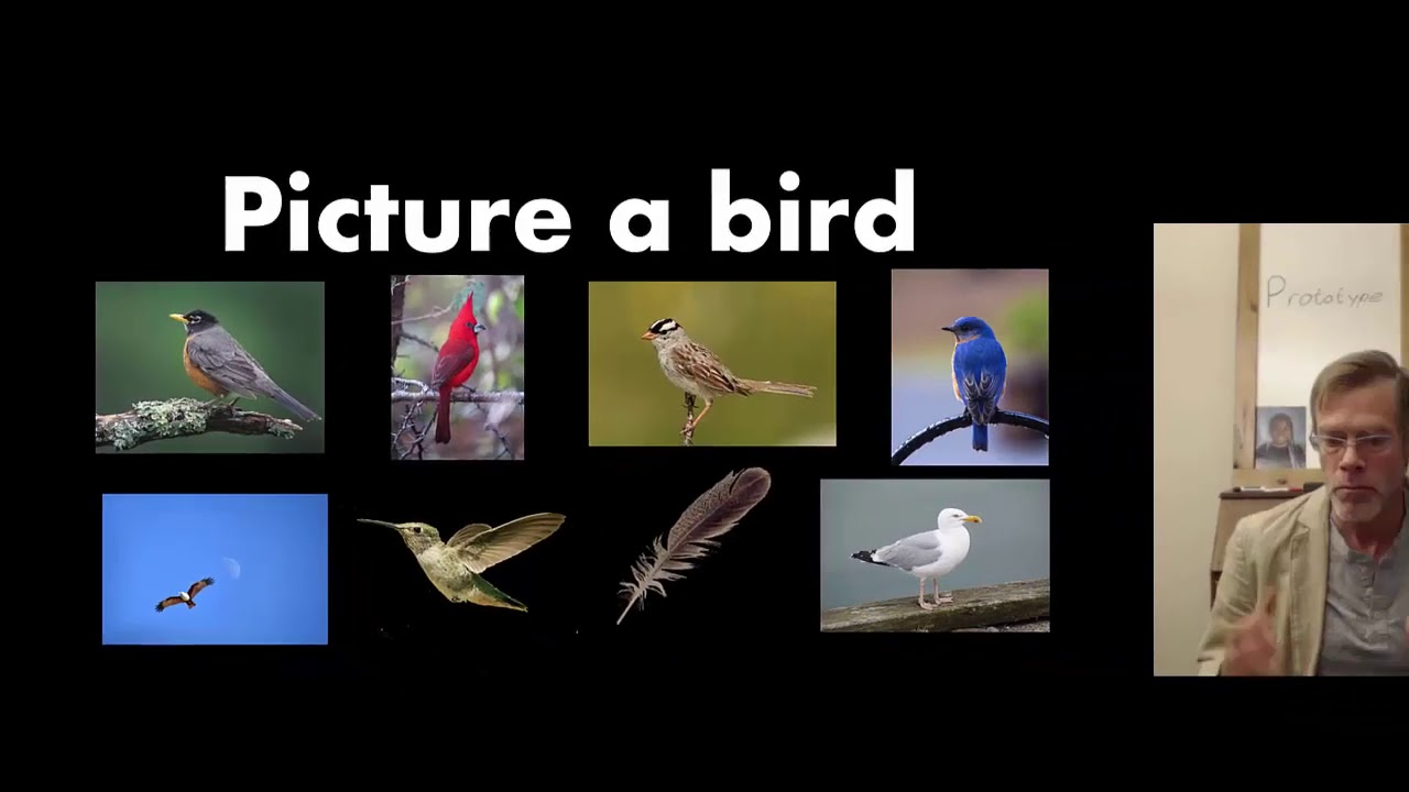 Prototypes in Language