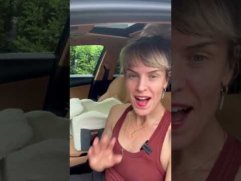 Review of the Dog Car Seat for Small Dogs by Matsofanic | Center Console Booster Seat