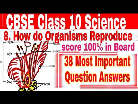 Science Notes Class 10 Chapter-8 How do Organisms Reproduce | Most Important For Board 2021