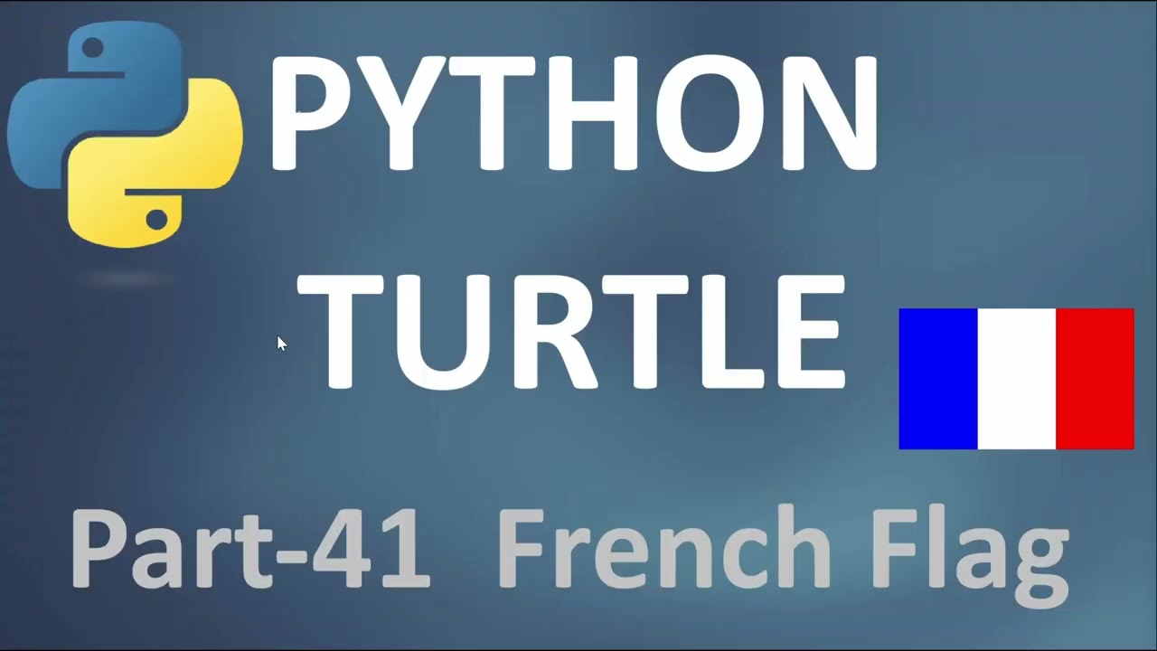 Draw the French Flag Using Python Turtle Graphics