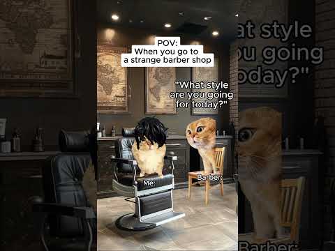 CAT MEMES 🐱 when you go to a strange barber shop #shorts #catmemes #relatable