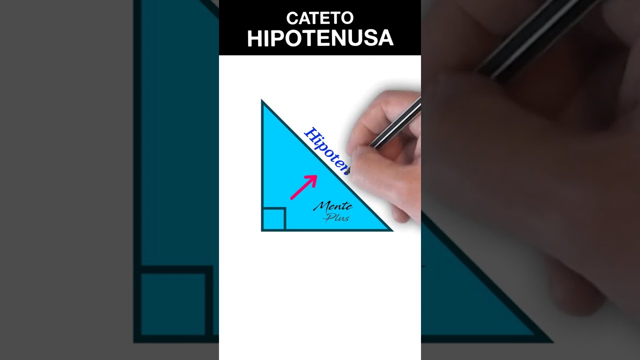 🔥Cateto e Hipotenusa del Triángulo Rectángulo🚀