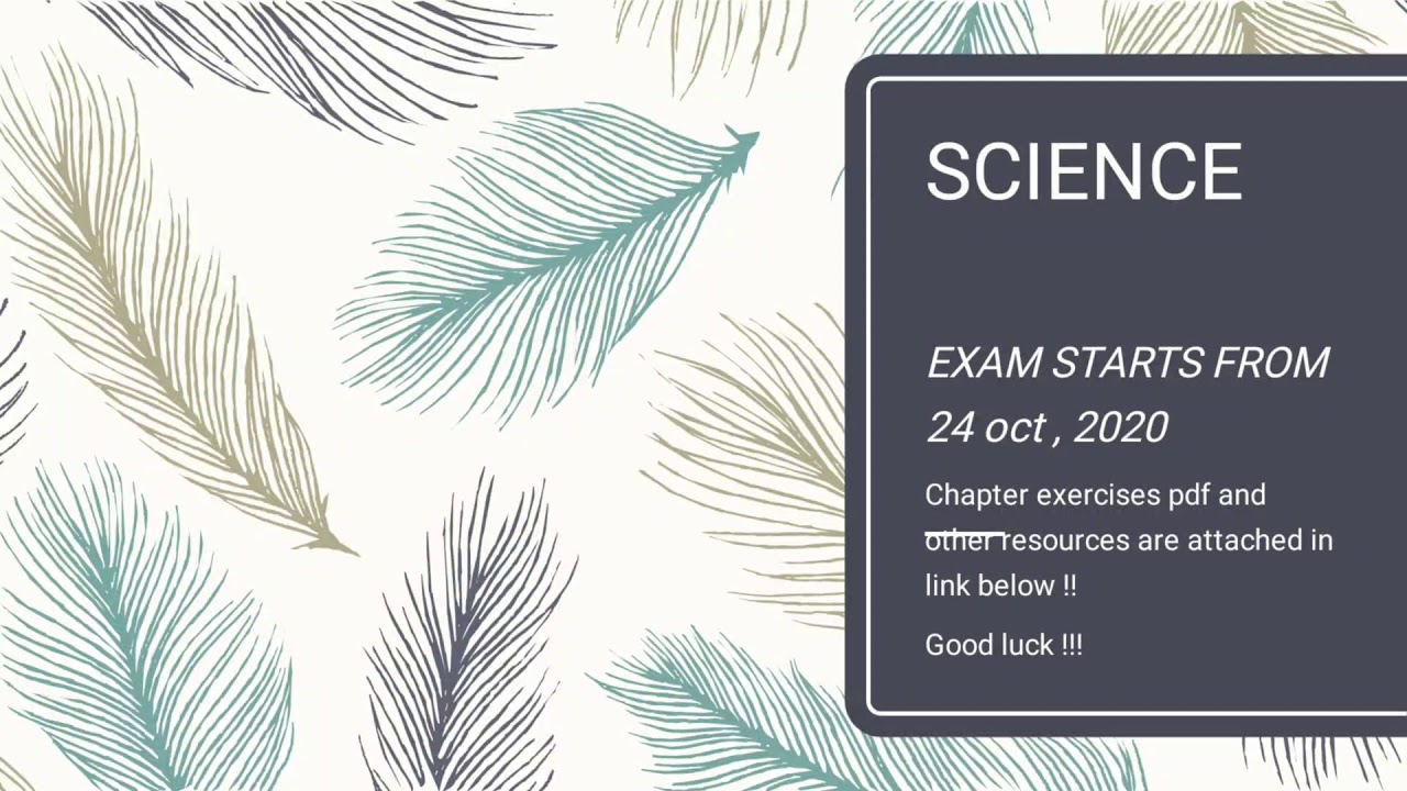 Class 6/Science/All pdf files of term 1 chapters