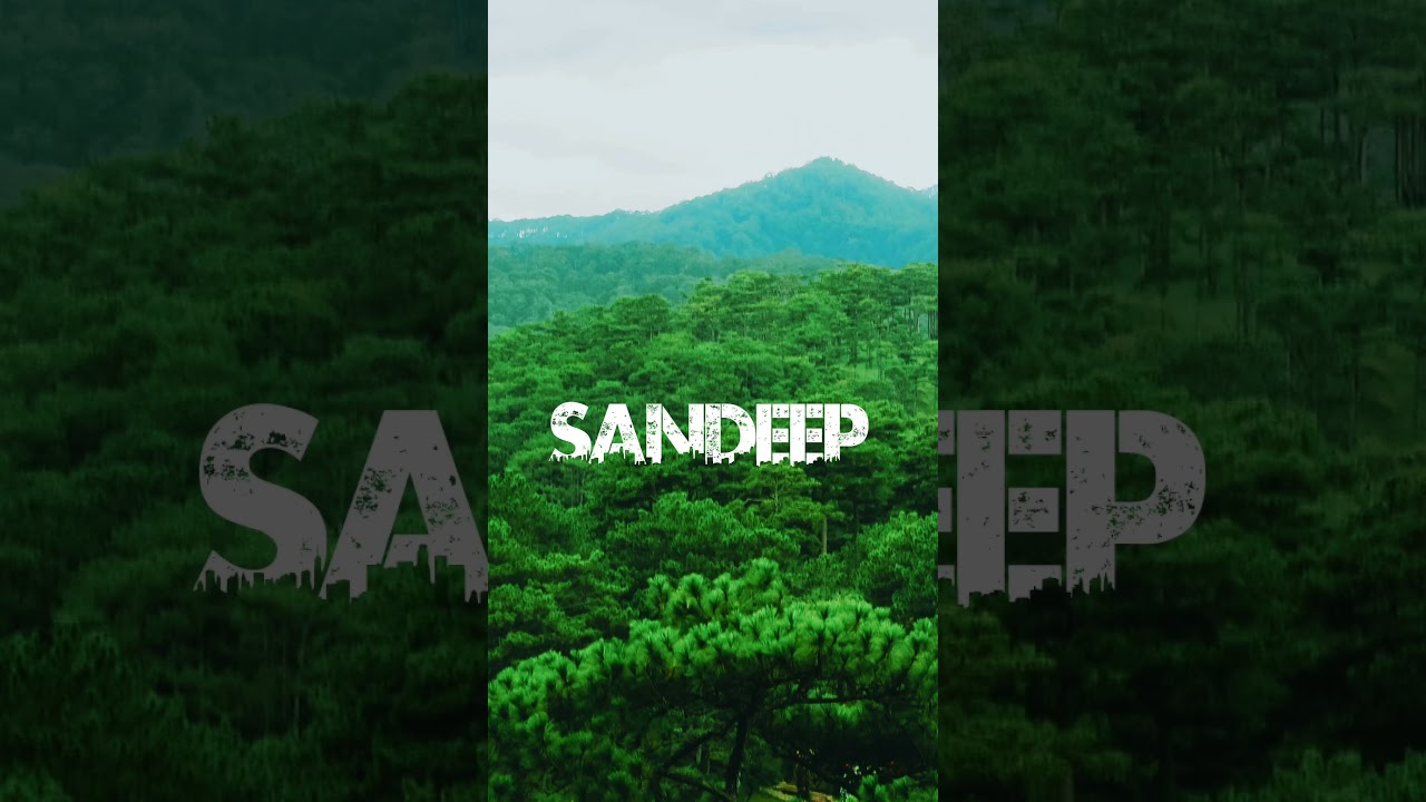 urban jungle fond photo editing#trending urban jungle fond#urban photo editing#