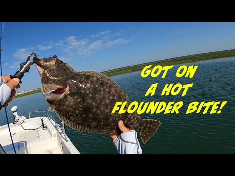 INSANE Flounder Bite in New Jersey! (Non-Stop Action) #subscribe #fish #outdoors #flounder