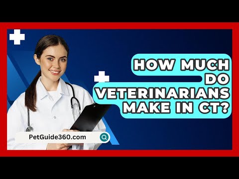 How Much Do Veterinarians Make In CT? - PetGuide360.com