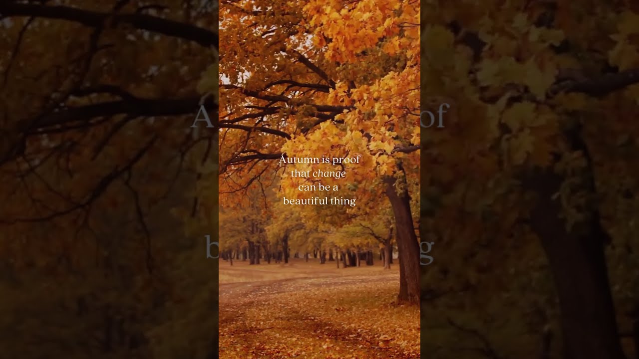 Autumn quote of the day | Mindset Shift for Manifestation (read caption)