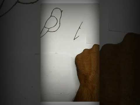 Magic' drawing Bird 🕊️|#shorts #trending #viral #kids #education #comady #shortvideo #instagram#