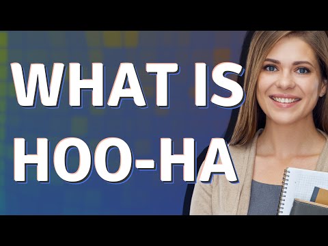 Hoo-ha | meaning of Hoo-ha