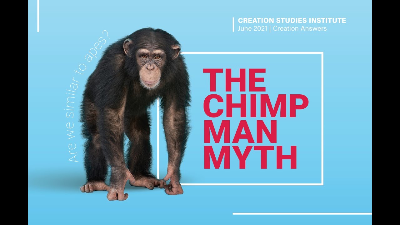 The Chimp Man Myth – Creation Studies Institute