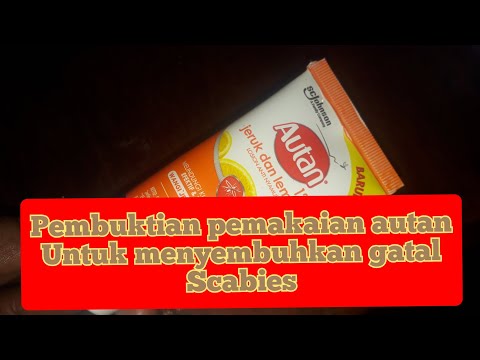 PEMBUKTIAN AUTAN UNTUK OBAT GATAL SCABIES.!!