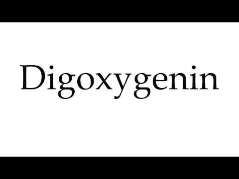 How to Pronounce Digoxygenin