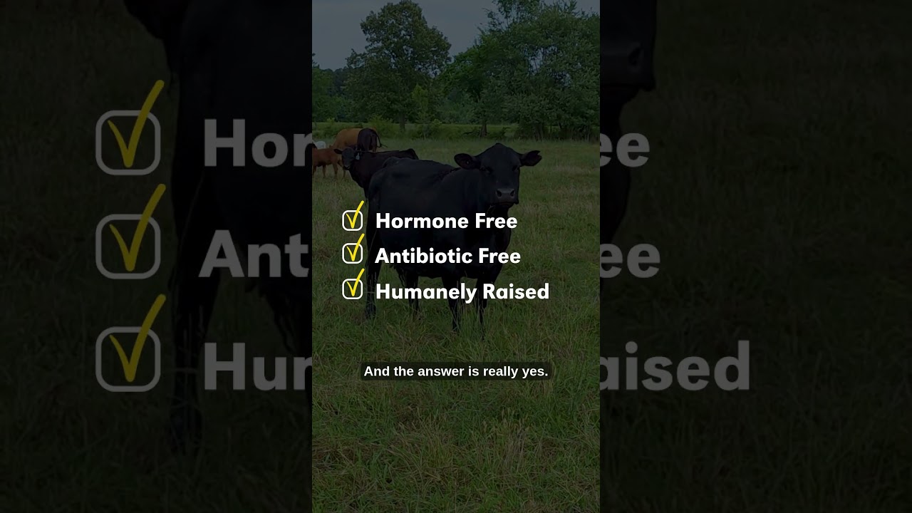 Tired of not knowing what’s really in your beef? 🧐 #beef #carnivore #farmtotableshorts