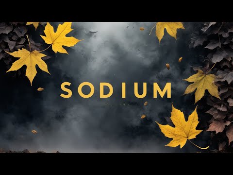 Steam Community :: Video :: SODIUM [REQUINE APP: ACCEPTED]