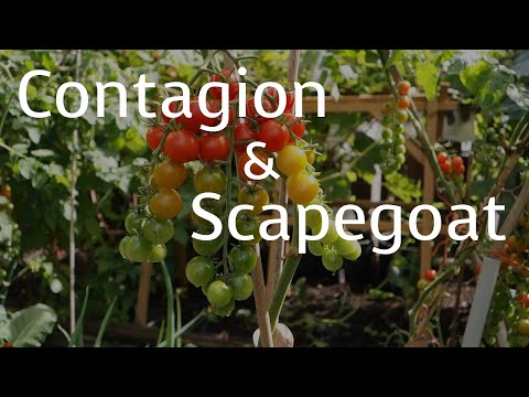 René Girard: Contagion and Scapegoat