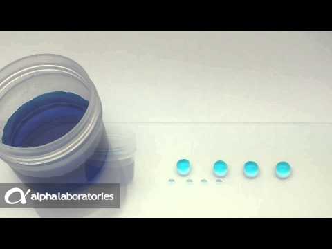 Pasteur Pipette and Transfer Pipette | Disposable Plastic Pastette